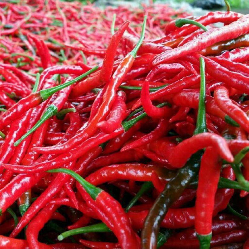 Cabe Merah