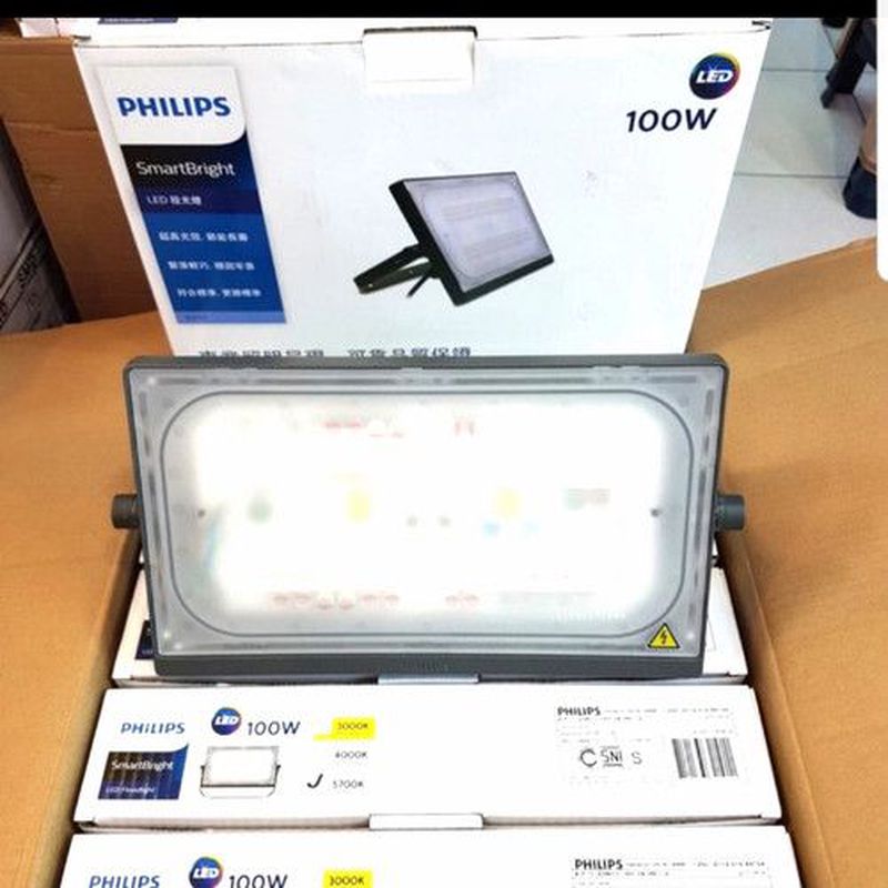 Lampu Sorot Philips 100W