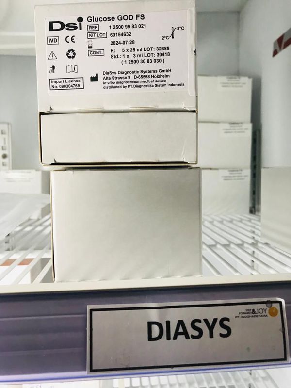 Diasys Glucose GOD FS 10 5x25ml
