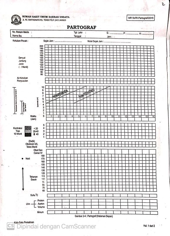 Cetakan RM-Partograf