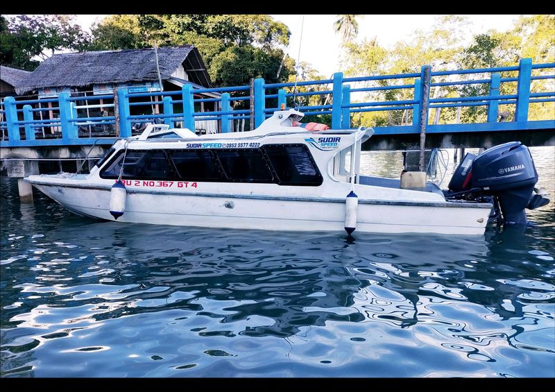 SEWA SARANA MOBILITAS AIR (JAGOH-PENARIK P/P )