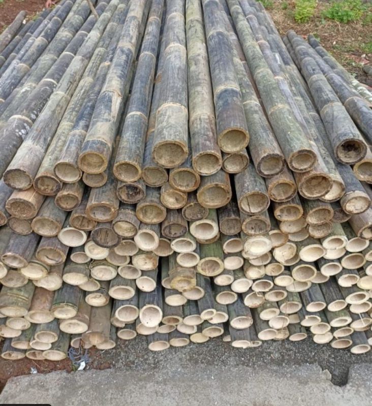 bambu besar ukuran 4m