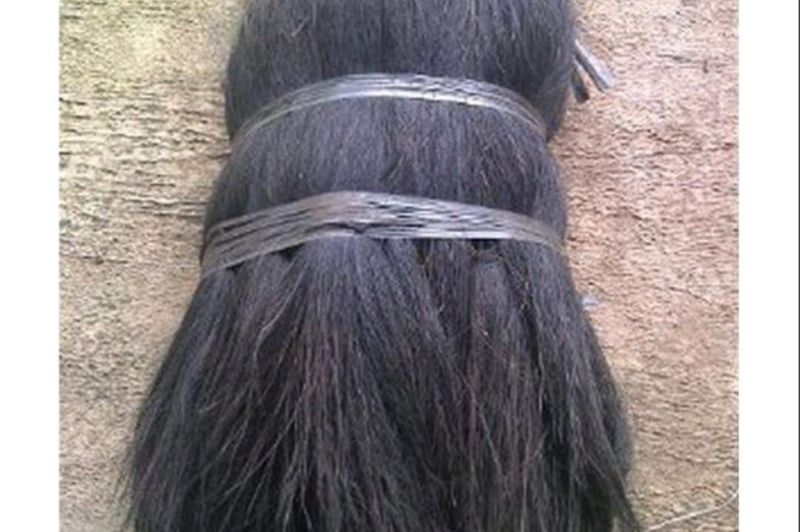 Ijuk bahan sapu ijuk