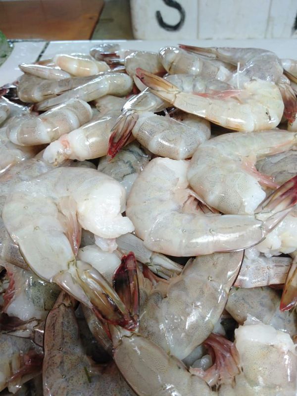 udang besar
