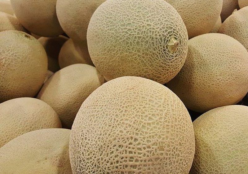 Melon