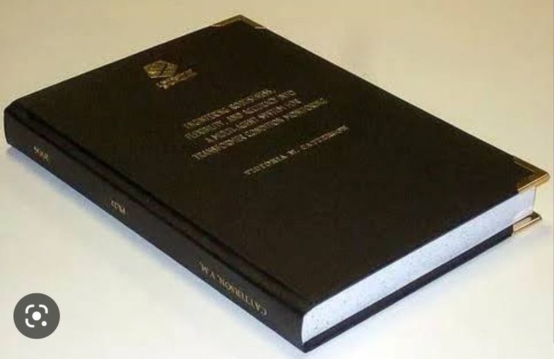 jilid skripsi tebal 1 (karton bufalo)