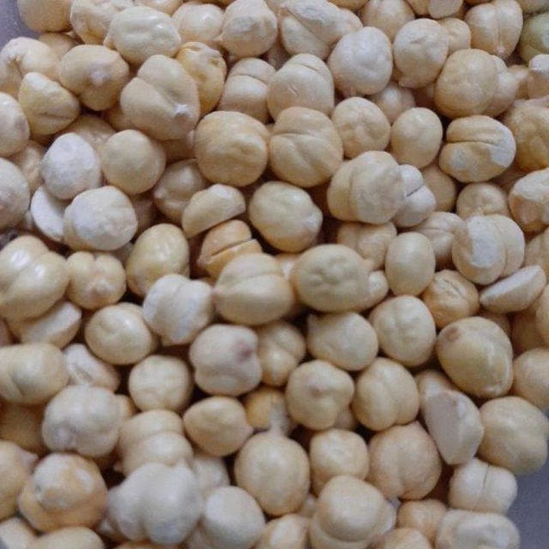 Kacang Arab