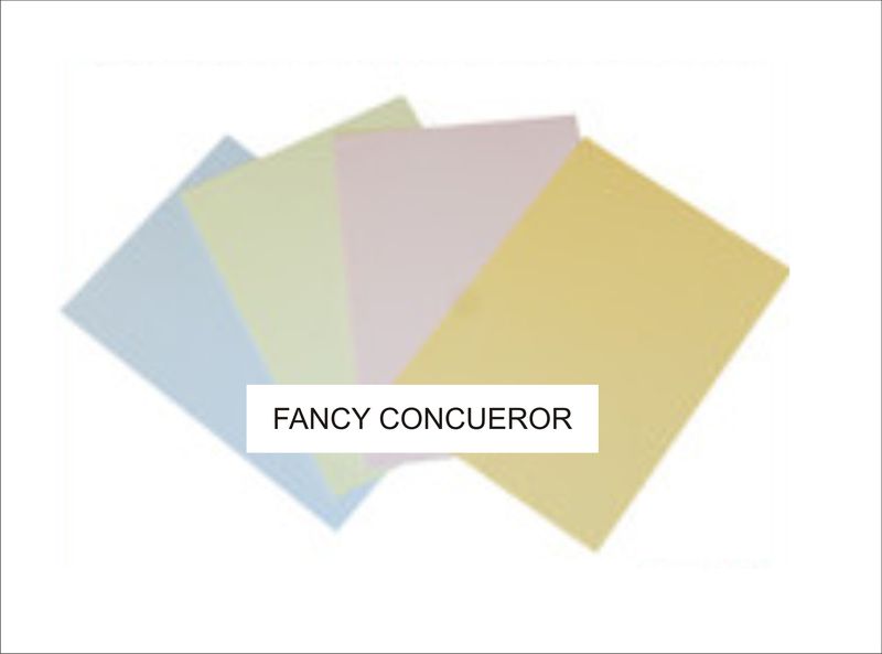 kertas fancy concueror