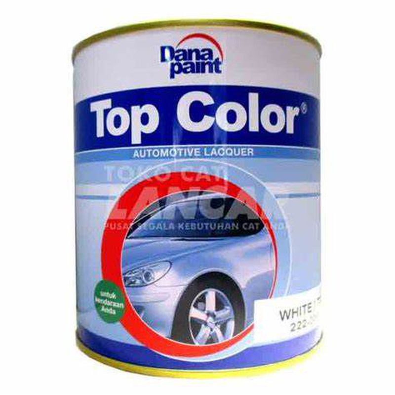 Cat Top Color dana paint