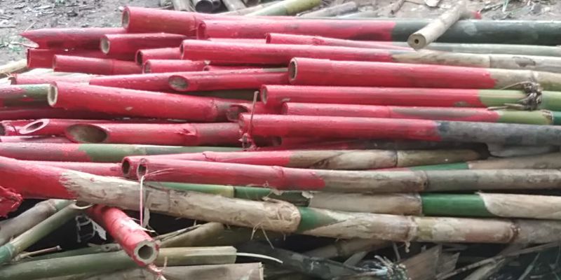 Patok dan Arah Larikan Tanaman