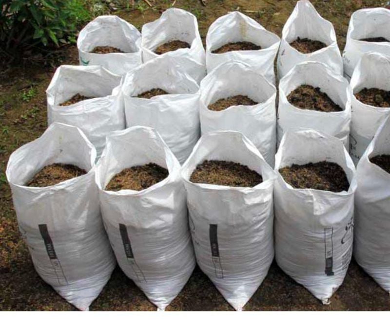 Pupuk Kandang Kotoran Sapi