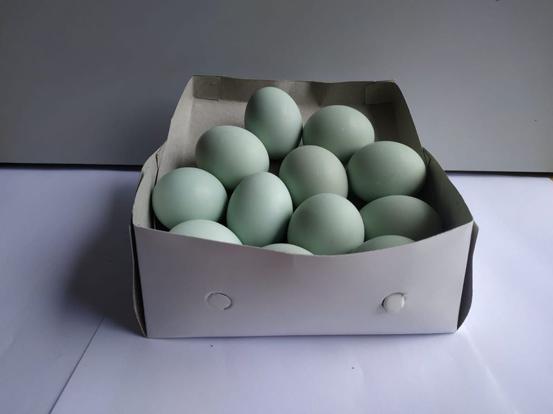 Paket 2 Telur Bebek Asin