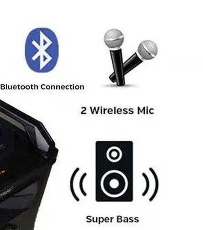 Mic dan speaker wireless