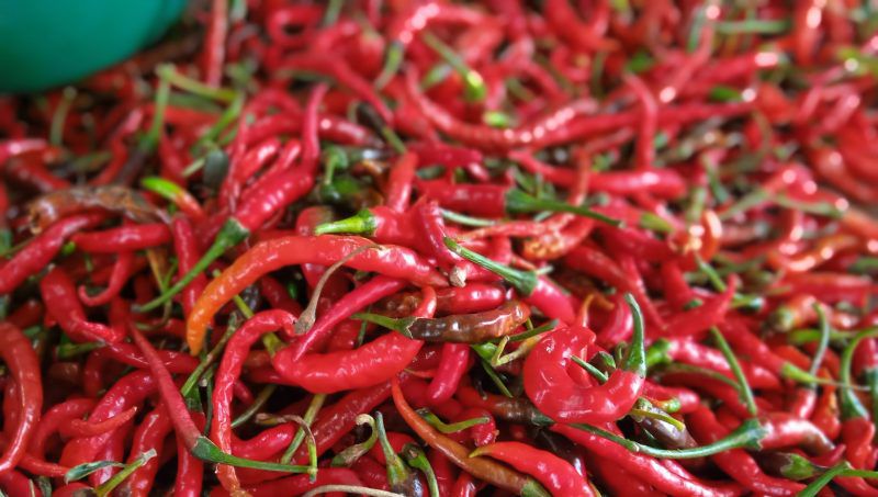 Cabe Merah Tanjung