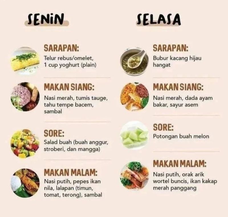 ketring nasi buat atlit,kantor maupun pesta