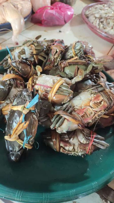 KETAM