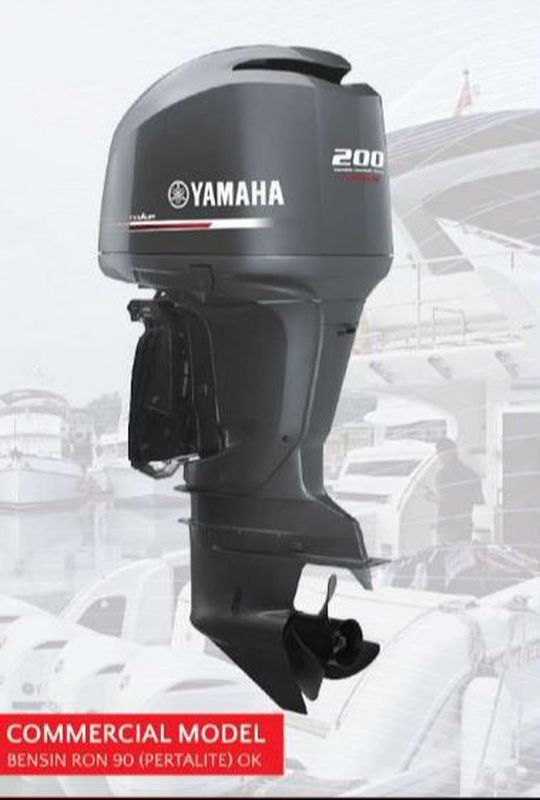 YAMAHA MARINE FL200BETX