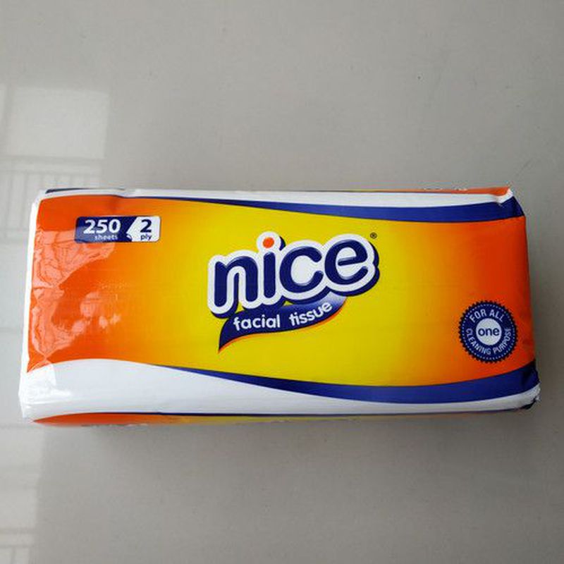 TISSUE NICE 250 SHEET