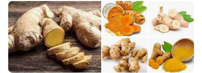 ANEKA BUAH / OBAT SEGAR