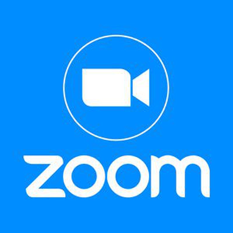 Zoom Pro 100 SIP Audio License