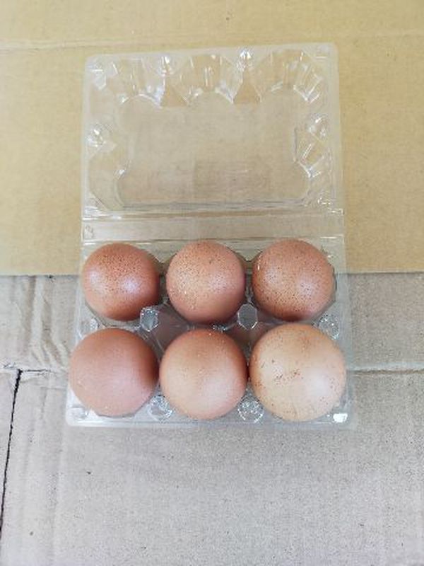 telur kemasan 0,5 kg