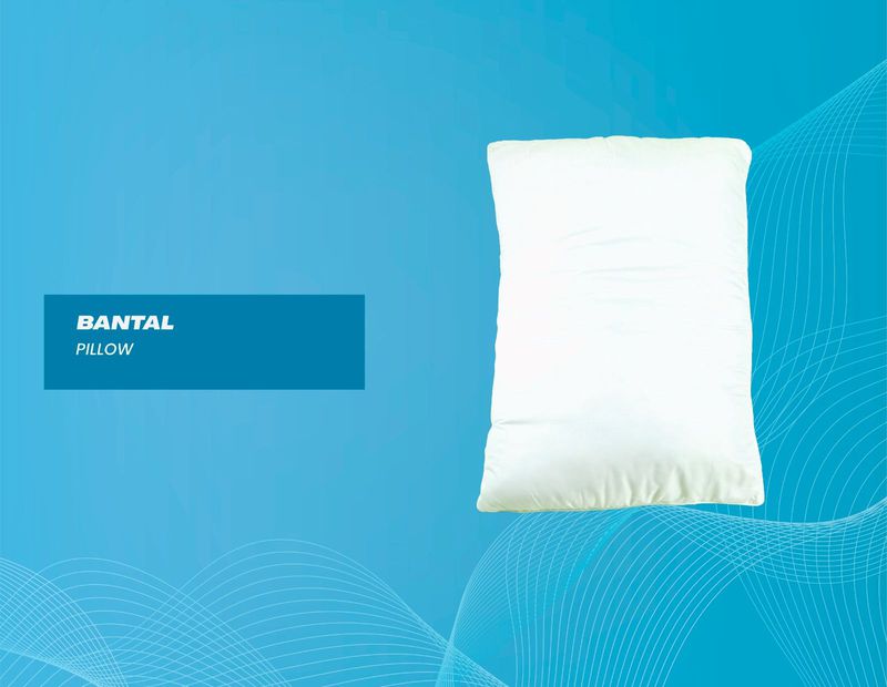BANTAL UK (40 X 60) (DACRON)