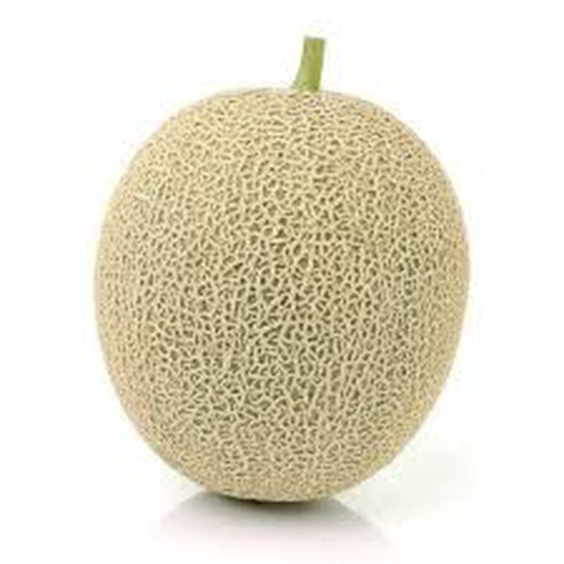 Melon