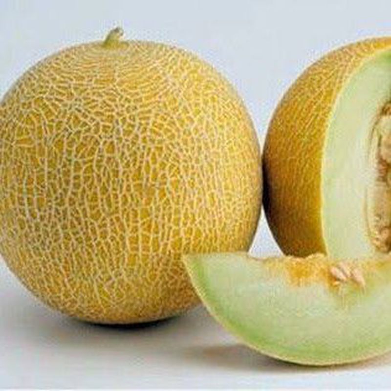 Melon