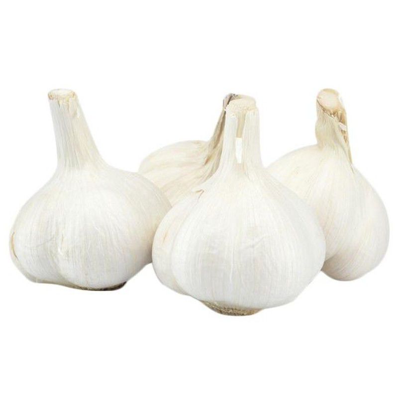 Bawang Putih Segar dan Kualitas Baik