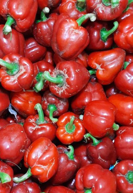 Paprika Merah