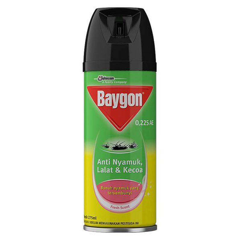 Baygon