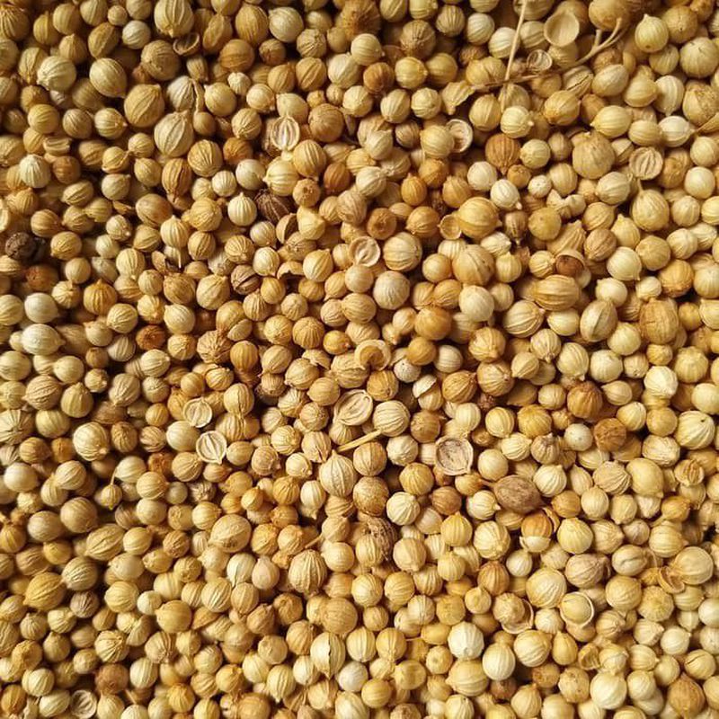 Ketumbar Kualitas Baik segar 1 kg