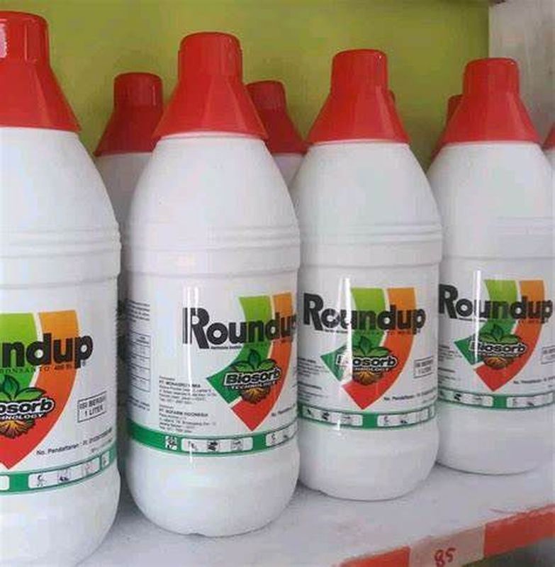 Herbisida (Round Up) Pembasmi Rumput