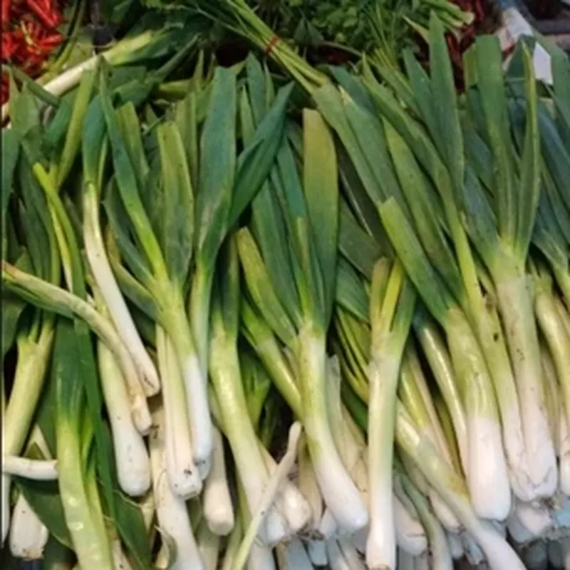 Sayuran / Daun Bawang Segar