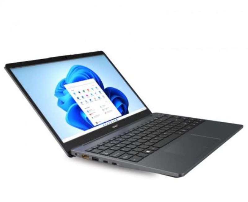 LAPTOP DAC F1 D14 DN50 711