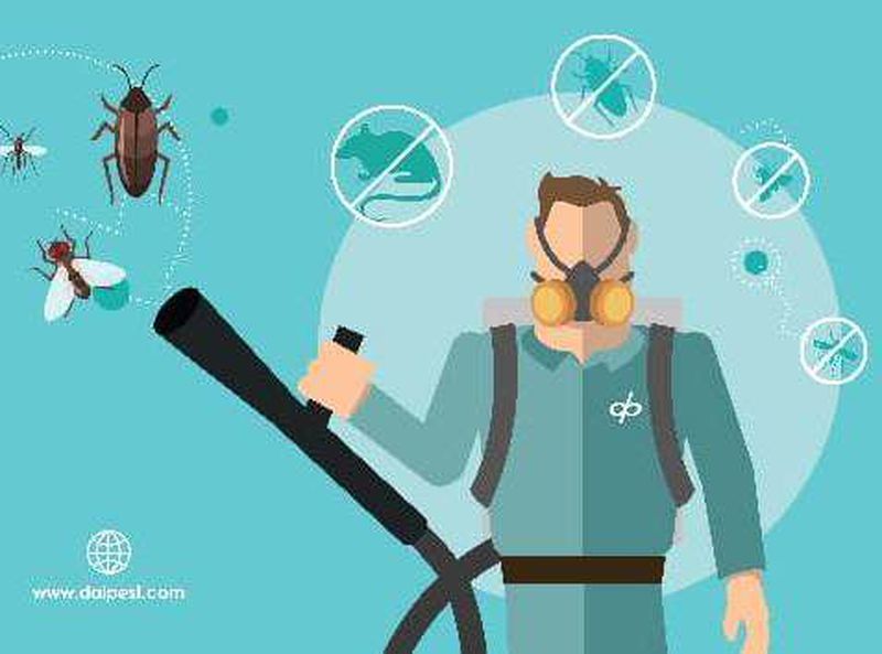 Paket Jasa Pekerjaan Pengendalian Hama (Pest Control & Fumigation)