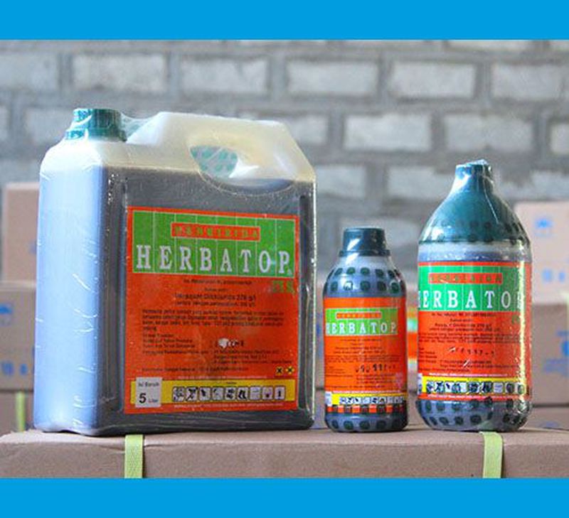 HERBATOP [Merk Herbatop tidak ada dalam database]