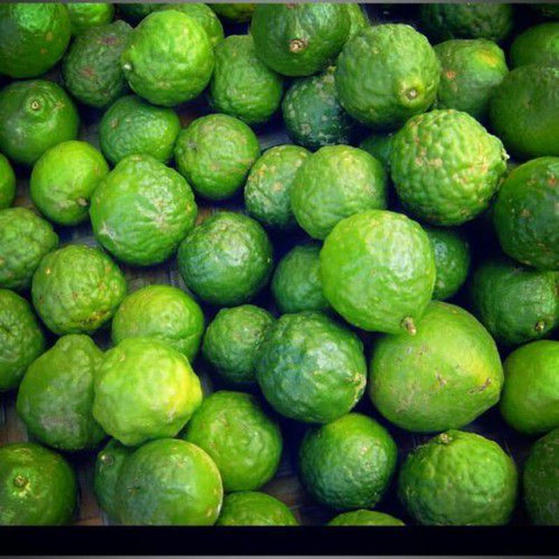 Limau Kuit Segar dan Bersih