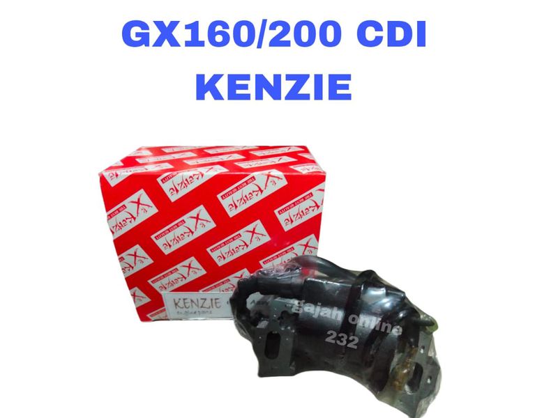 GX200 CDI ASSY KENZEI