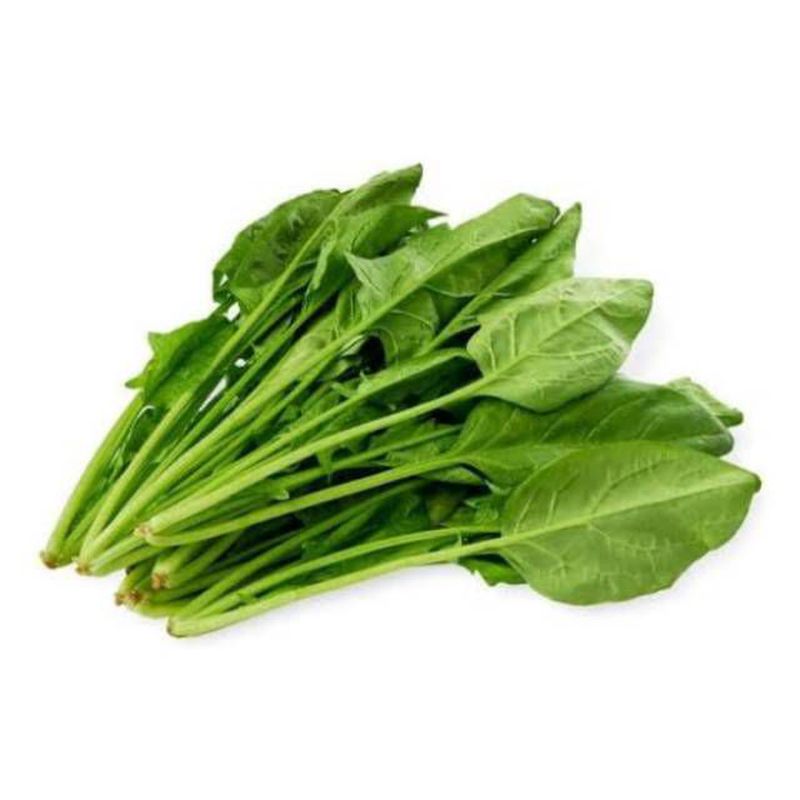 Bayam Jepang (horenzo)