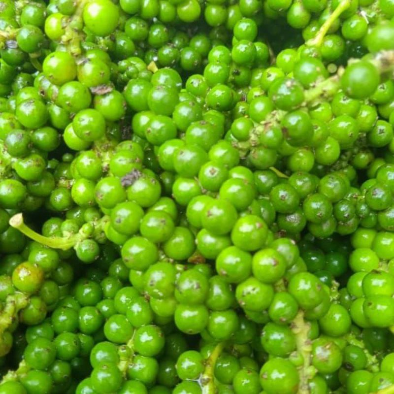 Lada Hijau Kemasan 250 gram