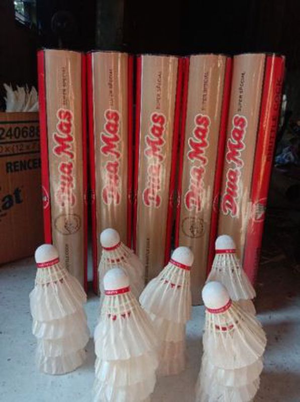 Shuttle cock badminton