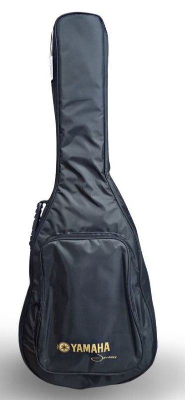 Tas Gitar