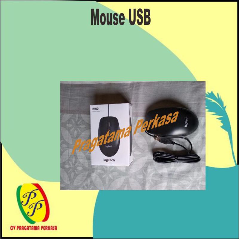 Mouse USB