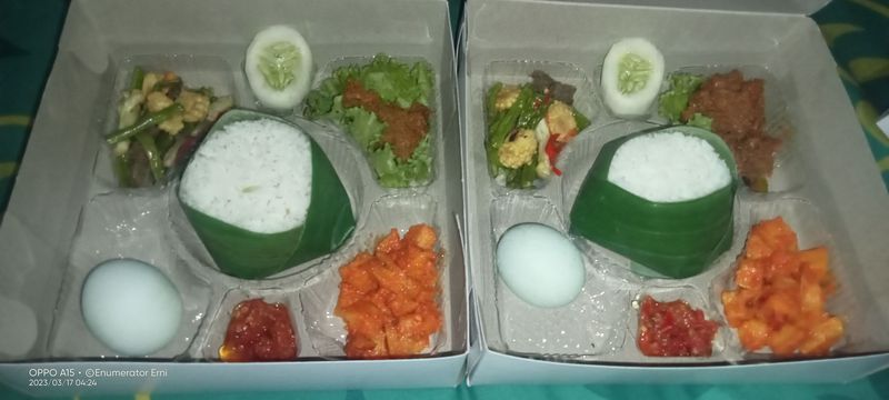 nasi kotak istimewa