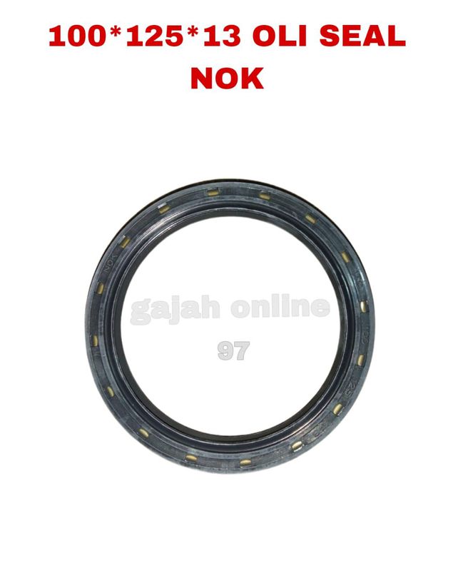 100*125*13 OLI SEAL NOK