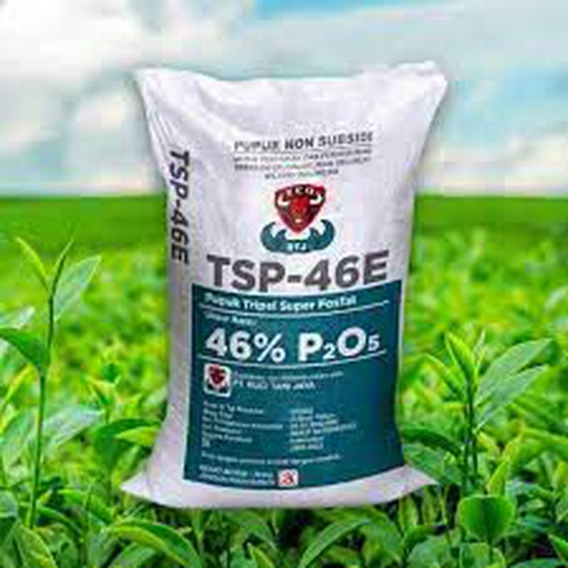 Pupuk TSP - 46E