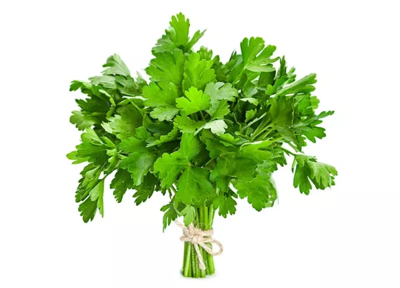Daun Parsley Segar 100gr