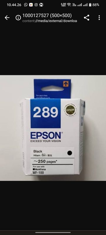 cartridge Epson 289