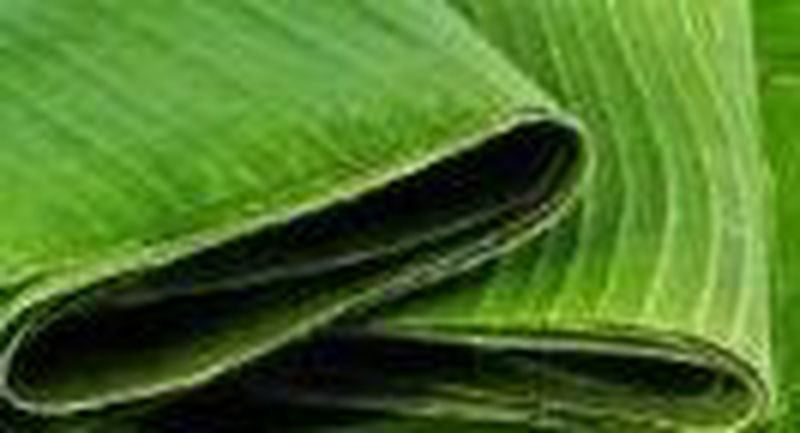 Daun Pisang